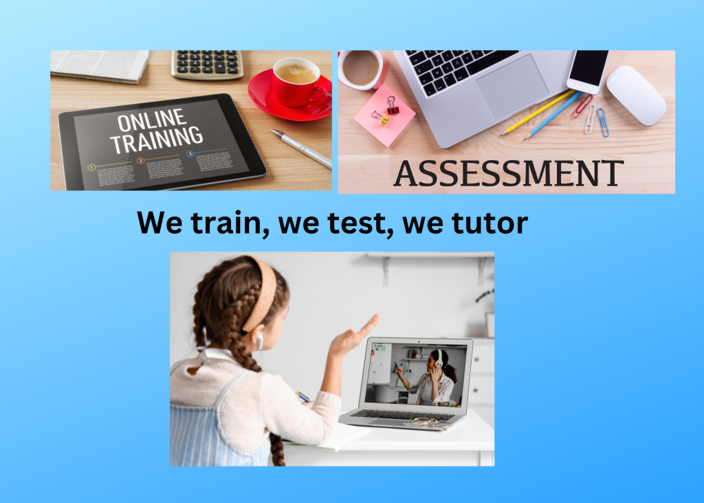 We Train, we test, we tutor - Math and Dyscalculia Services